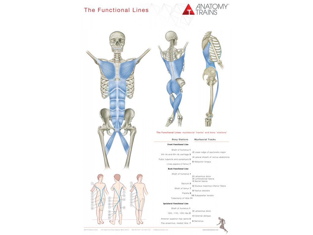 PLAKÁTY - MOVE LAB STORE